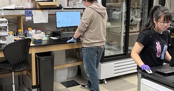 Poirier Lab Achieves EHS Dean's List | Department of Physics